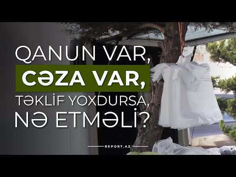 Qanun var, cəza var, təklif yoxdursa nə etməli?