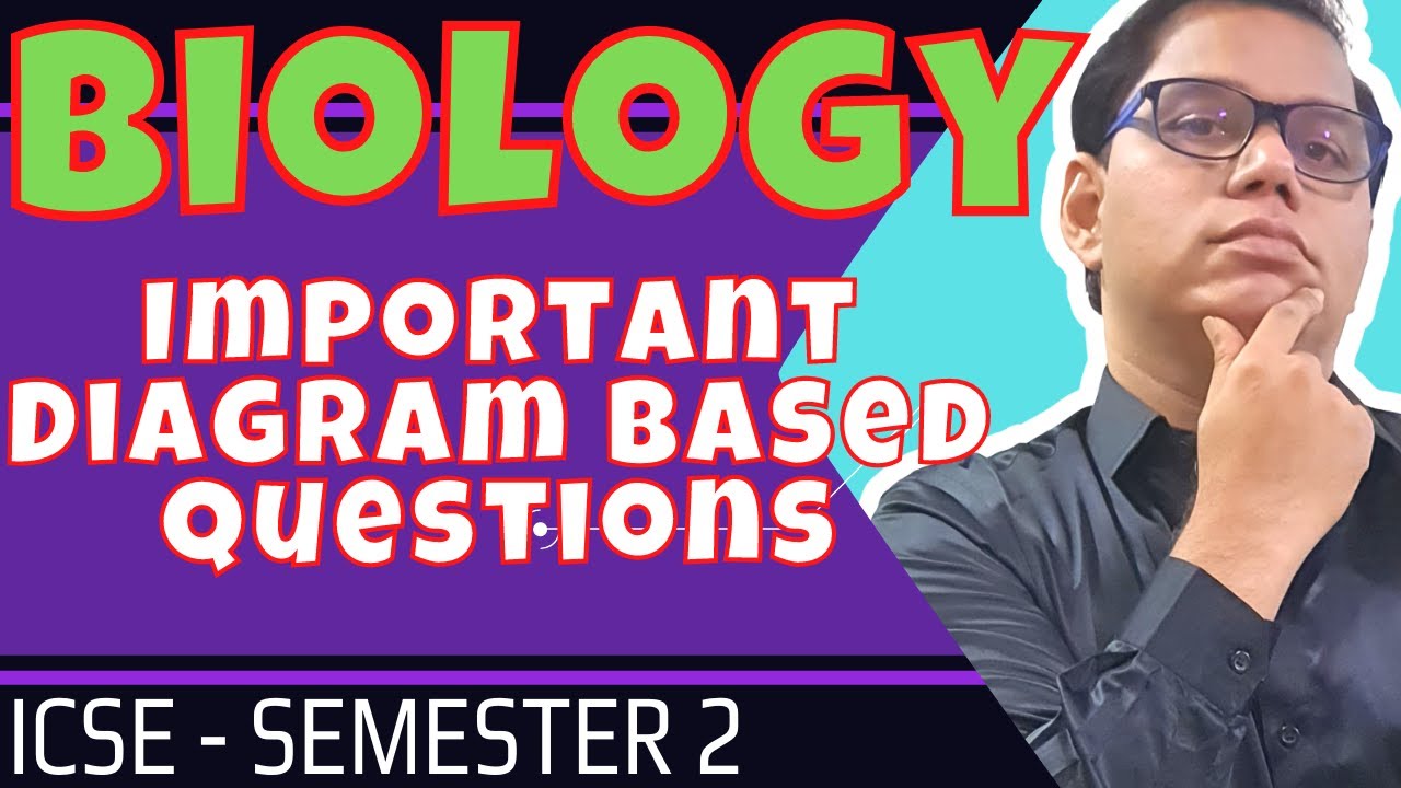 ICSE biology class 10 important diagram based questions entire syllabus ...