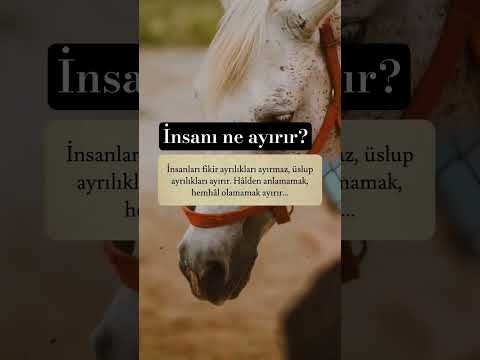 Dilinin söylediklerini, halin yalanlamamalı. #dost #sevgi #cuma #motivation #aboneol