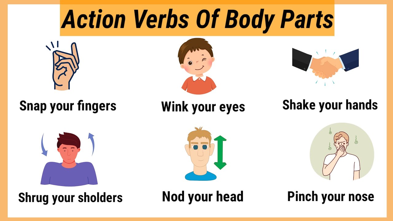 Action Verbs Of Body Parts In English || Improve Your Vocabulary || English Speaking Practice ...