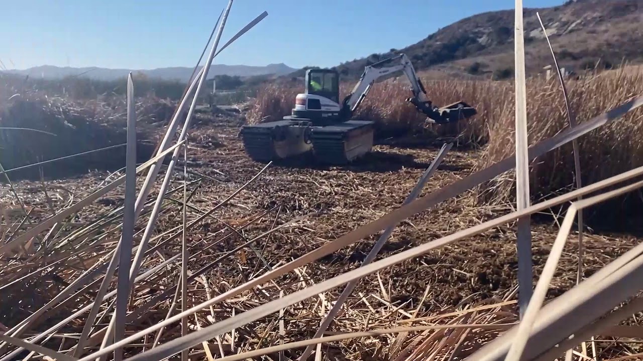 Cattail Mowing | Tule Mowing | Cattail Removal | Tule Removal - YouTube