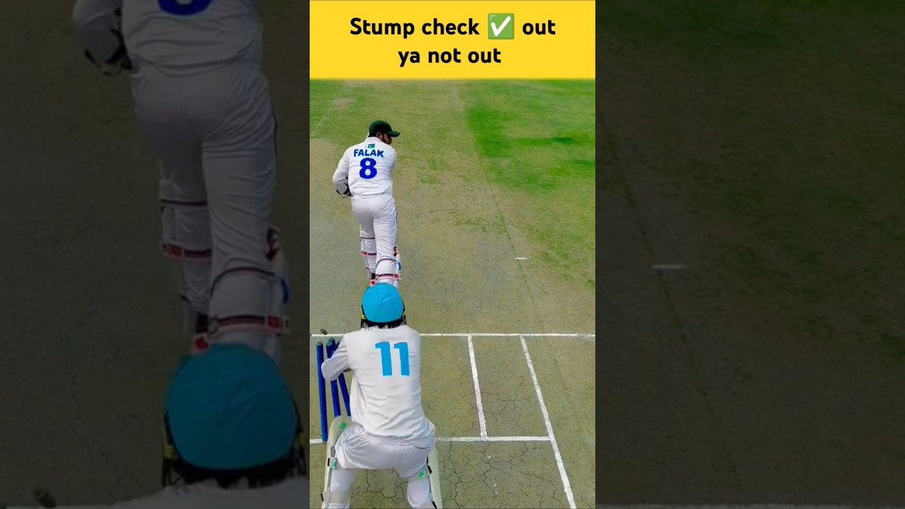 watch full video stump out ya not out #trendingshorts #viralvideo #kids ...