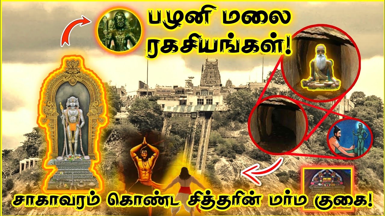 பழனி மலை ரகசியங்கள் | பழனி முருகன் வரலாறு | Palani Murugan History ...