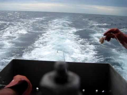Bottom Longlining - YouTube