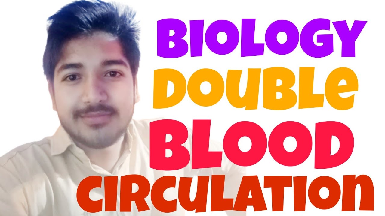 Double Blood Circulation in Human body - YouTube