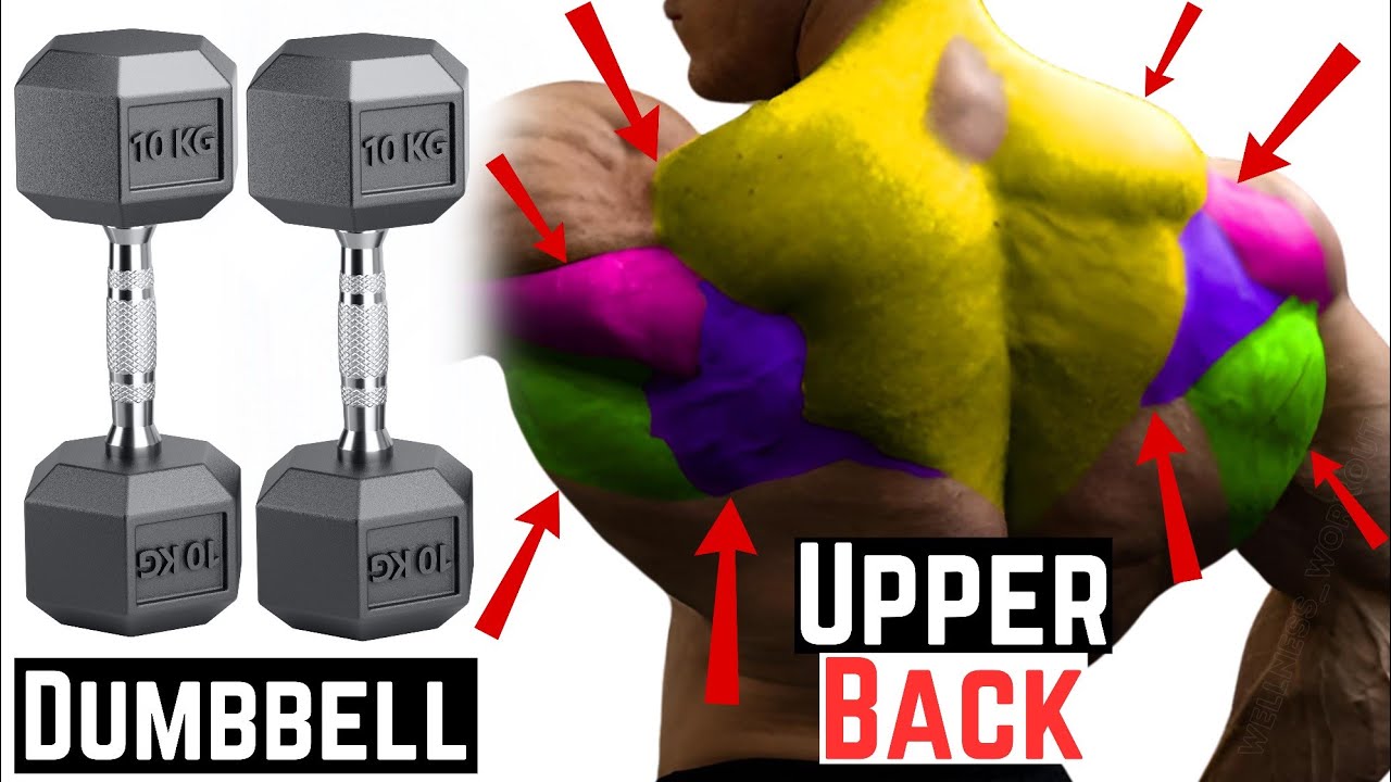How to build Your Upper Back with Dumbbells | Back Workout - YouTube