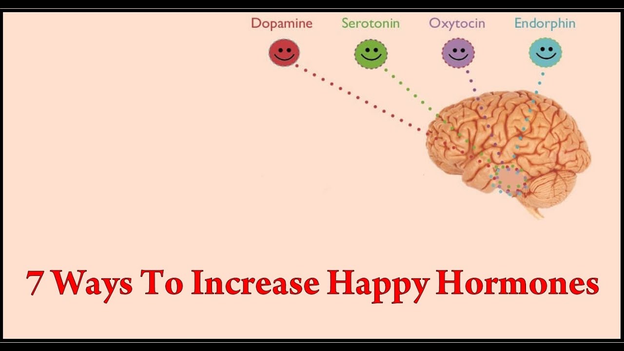 7 Ways To Increase Happy Hormones - YouTube