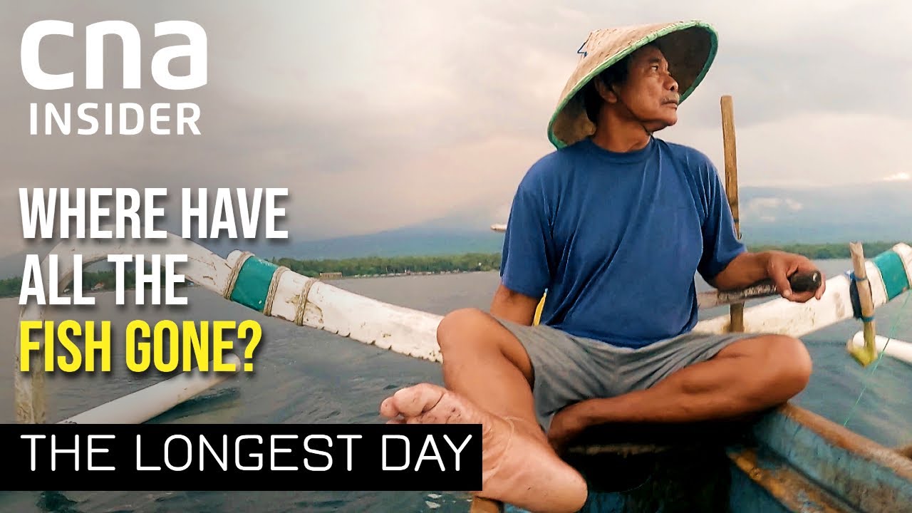 Fishermen Search For Ways To Restore Fish Populations, Save Their ...