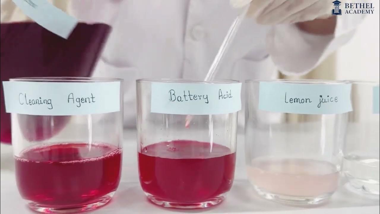 Natural Indicators Experiment by Eureka team - YouTube