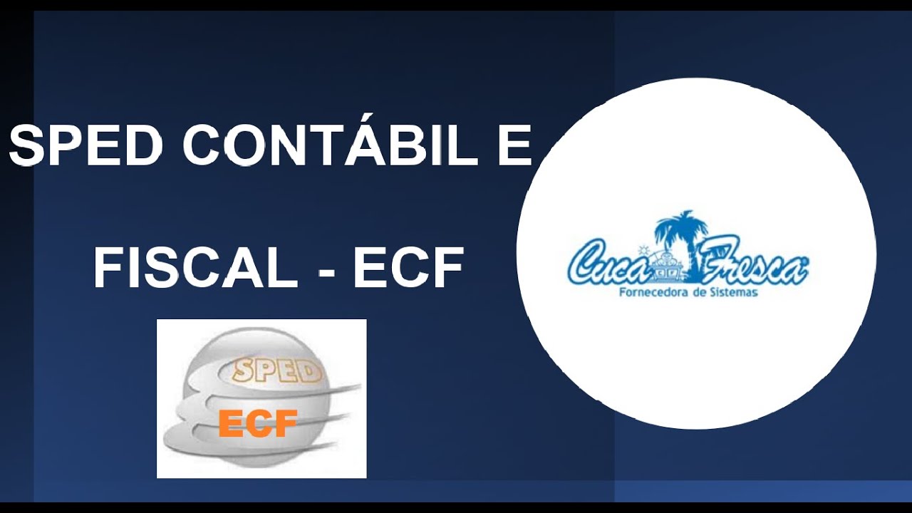 TREINAMENTO - SPED ECF - YouTube