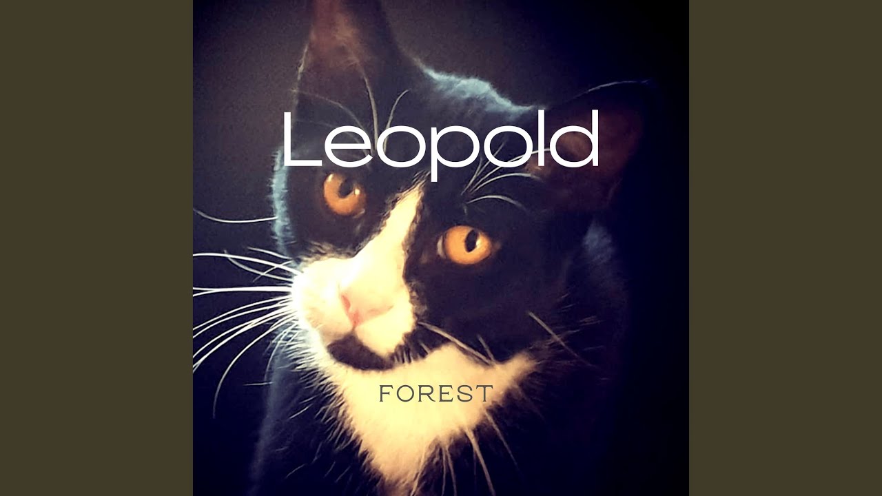 Leopold - YouTube