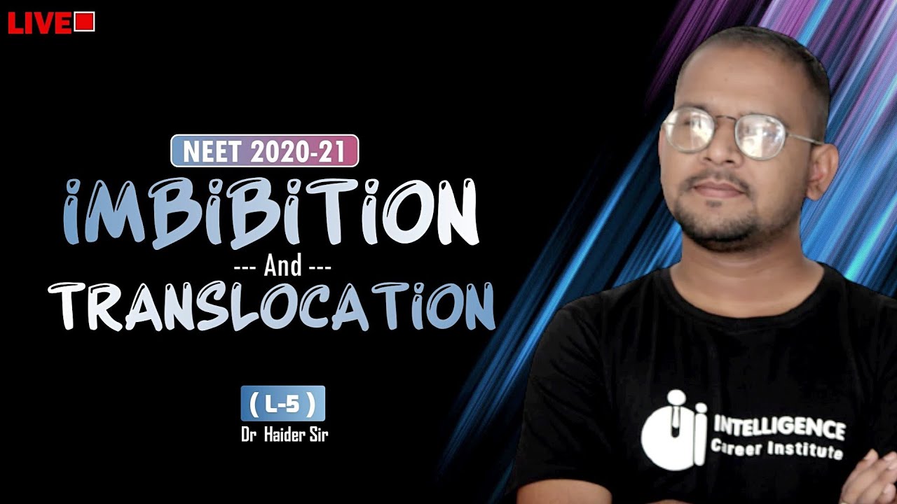 L-5 | Imbibition and Translocation | dr Haider sir |Transport in Plants ...