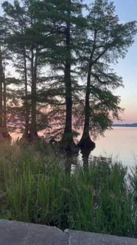 Video of Reelfoot Lake Campgrounds, TN from justin F. - YouTube