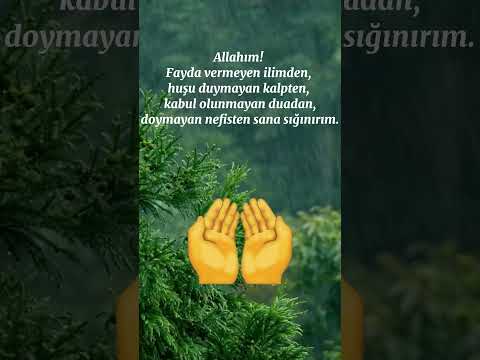 ALLAHIM SANA SIĞINIRIM  #allah #kuranıkerim #dua #amin #shorts