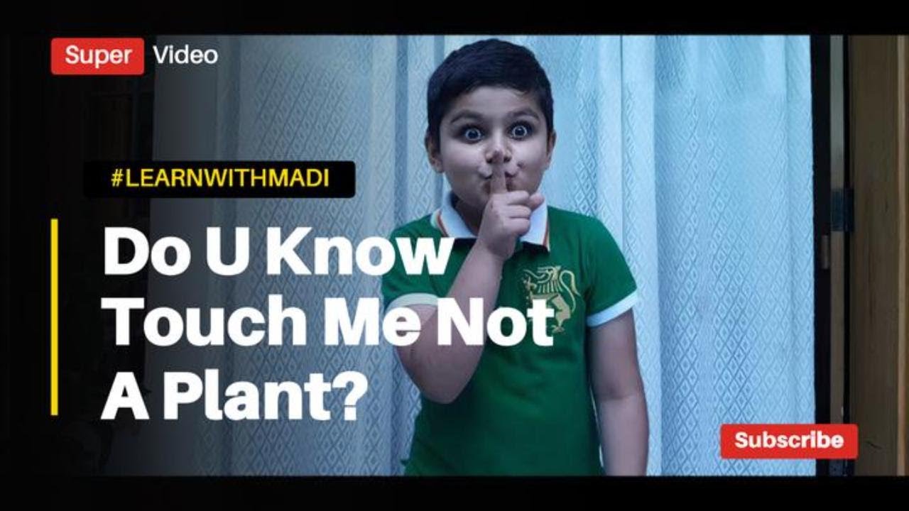 Touch Me Not - YouTube