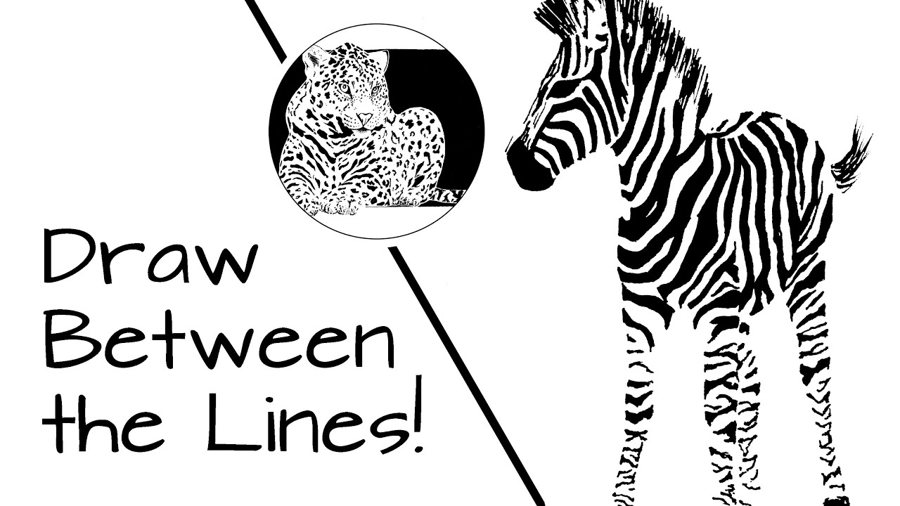 Negative Space Techniques in Illustration | Zebra Foal | Sakura Micron ...