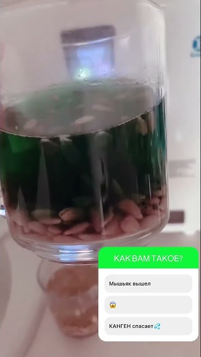 Высокощелочная КАНГЕН вода вывела мышьяк из семечек🤢 По всем вопросам 📲 ...