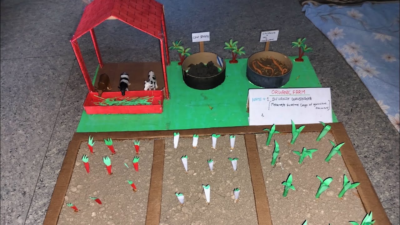 organic farming - eco friendly Agriculture model | #agriculture # ...