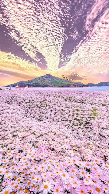 Satisfying Visuals Compilation - YouTube