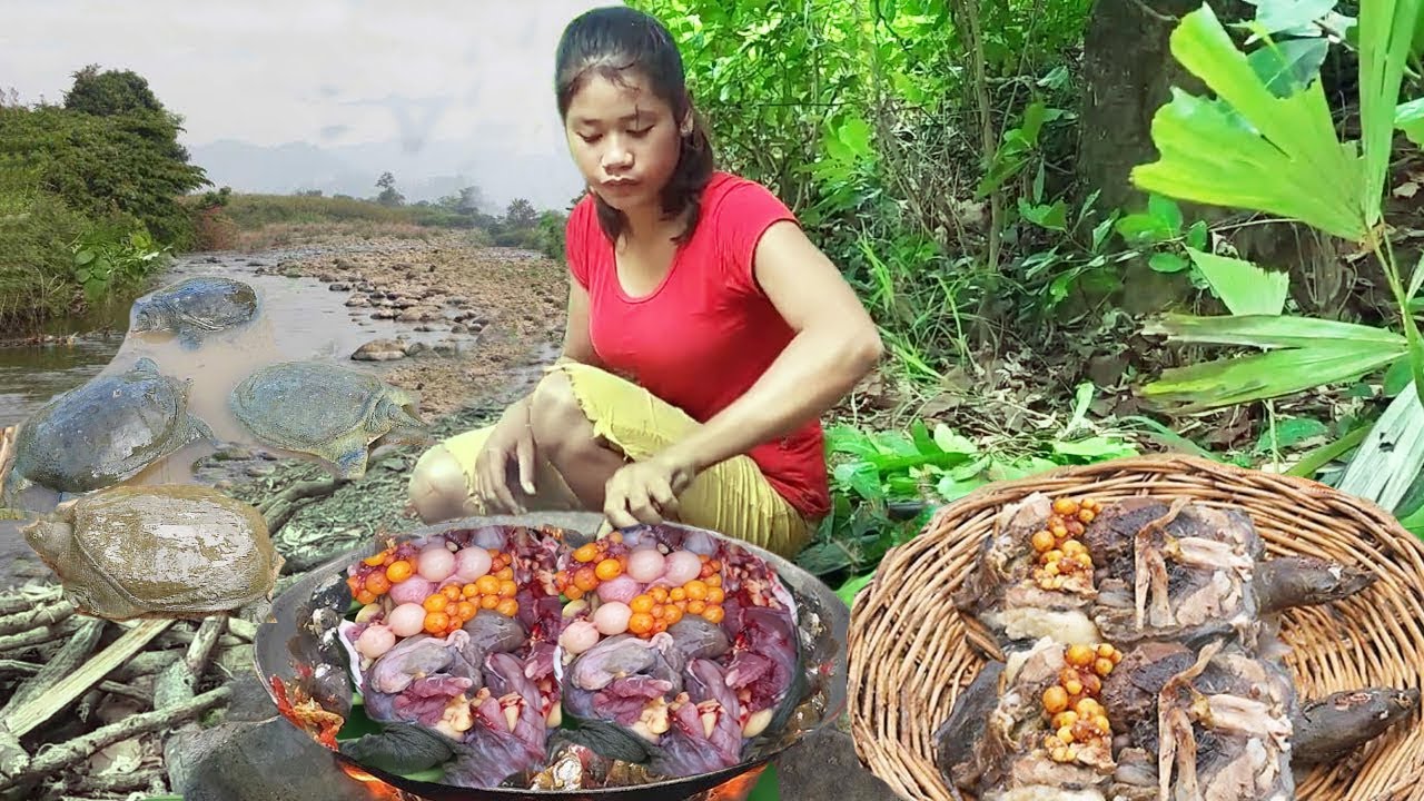 Survival skills Turtle, catching for food near river - Turtle and egg ...