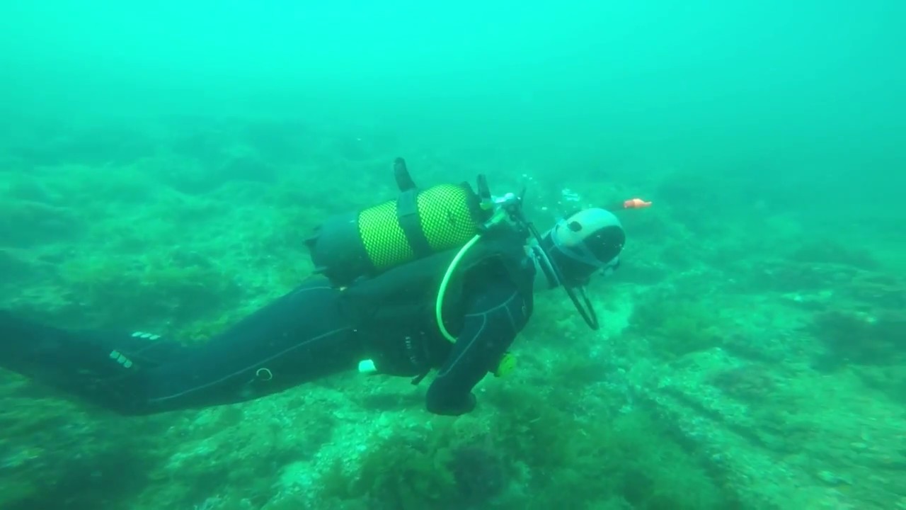 Diving in Portugal - Dive 1 - YouTube
