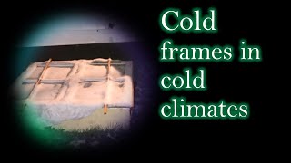 EXTEND ZONE 3 SEASON with a DIY COLD FRAME