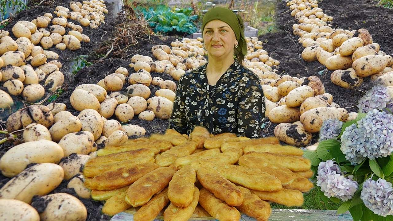 Potato harvest is done in the village! - How to make homemade potato ...