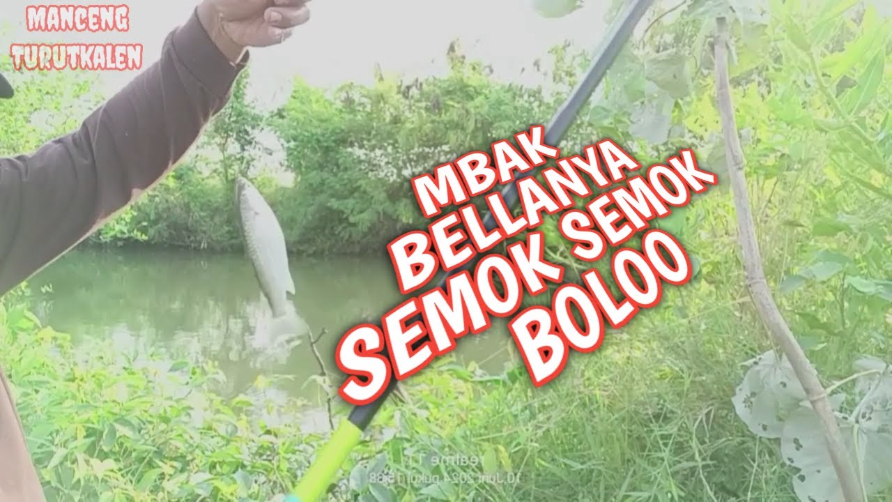 Fishing Story||Saat yang tepat mancing balanak Alhamdulillah gacor ...