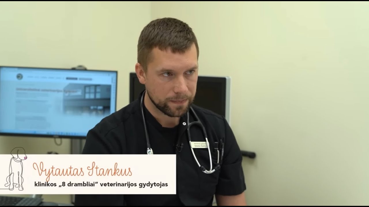 8 DRAMBLIAI veterinarijos gydytojas Vytautas Stankus kalba apie ...