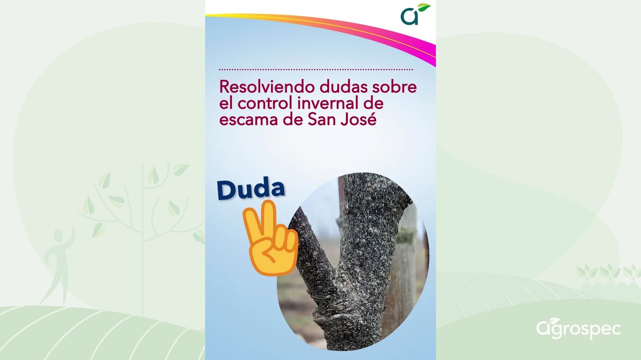 DUDA 2: Resolviendo dudas sobre el control invernal de escama de San ...