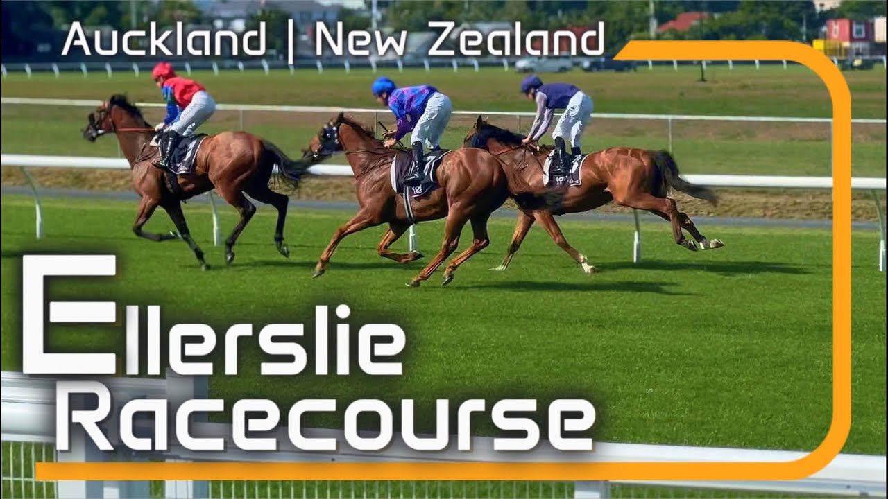 Ellerslie New Zealand Racecourse Tour - YouTube