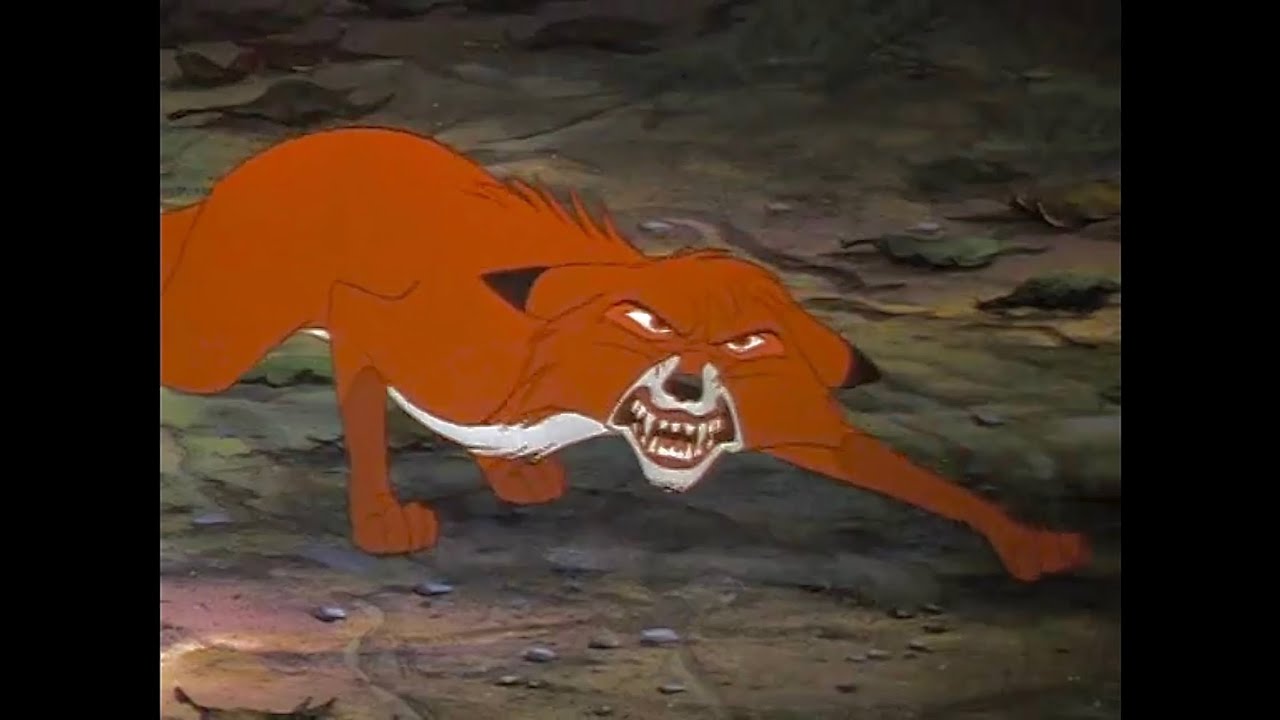 The Fox And The Hound: Tod VS. Cooper (1981) - YouTube