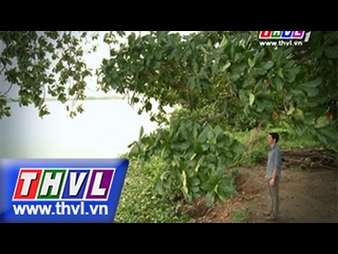 Chỉ một tình yêu - Tập 21