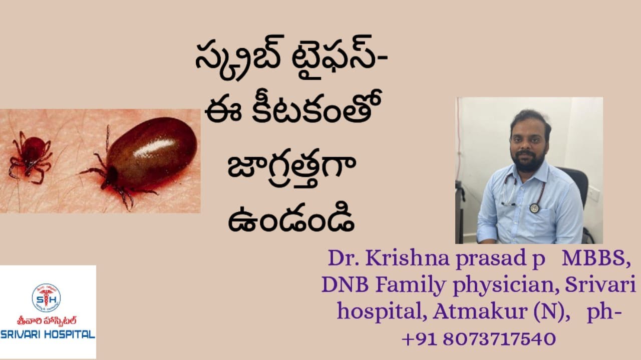 scrub typhus# deforestation # be careful with this insect - YouTube