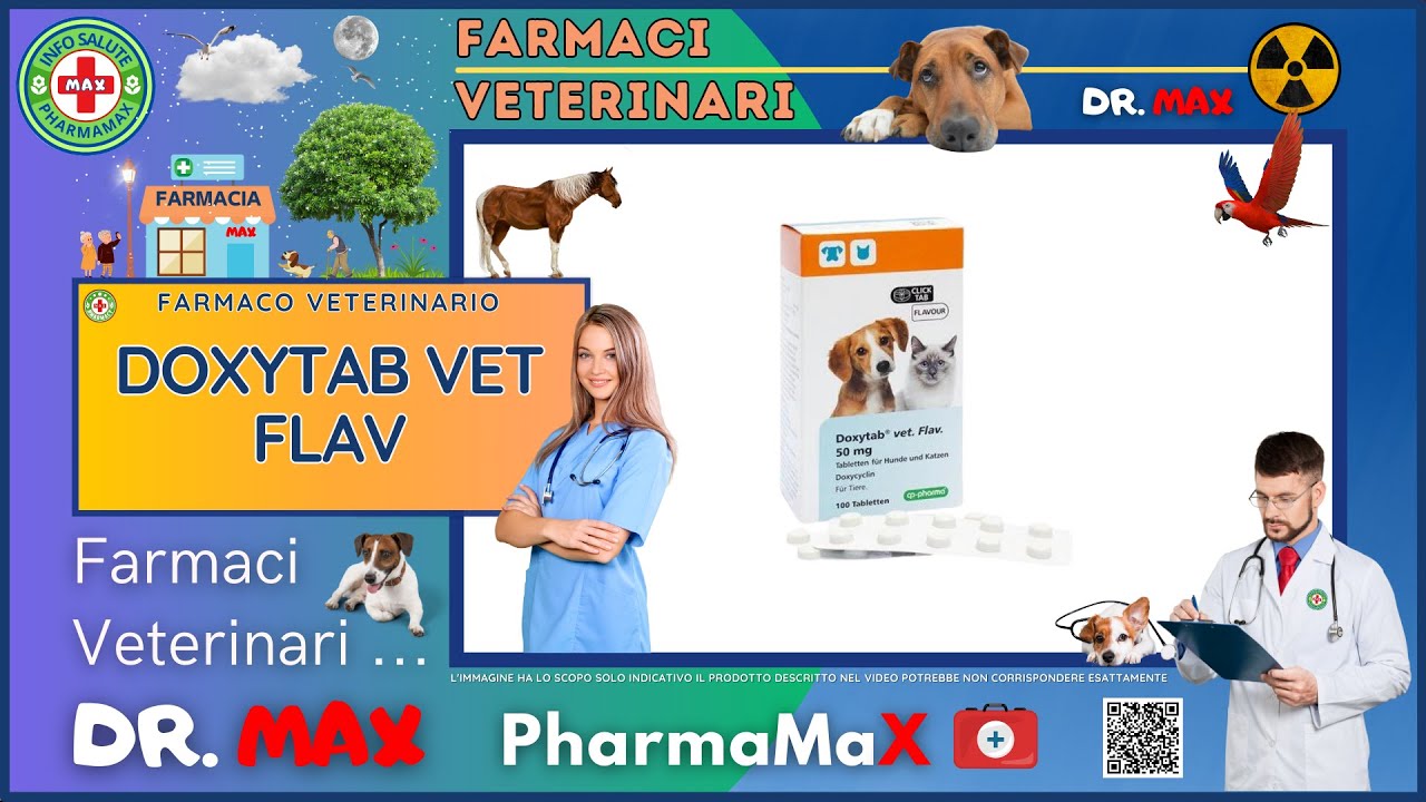🐶 DOXYTAB VET FLAV Farmaco Veterinario a cosa serve ? - Foglietto ...