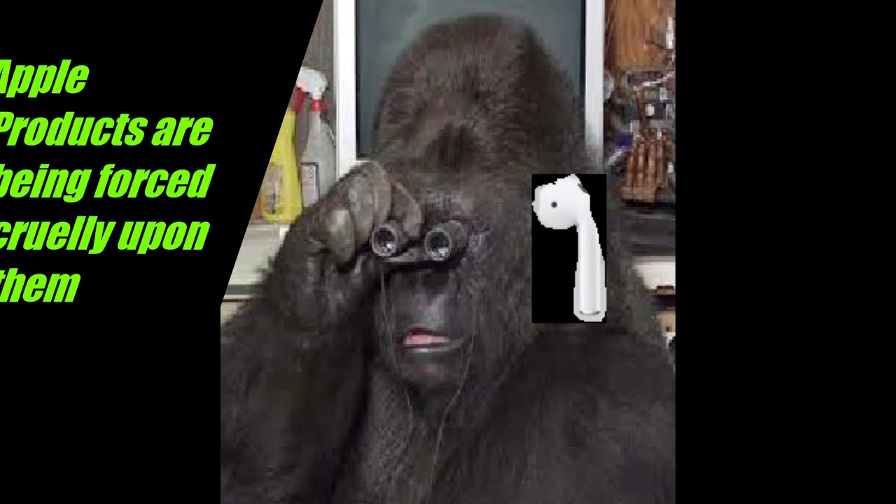 hELP HELP HELPH ELP HELP HELP HELPP - YouTube