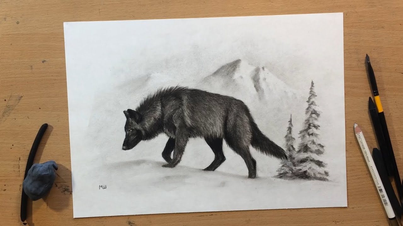 Black Wolf Charcoal Drawing - Wildlife Art - YouTube
