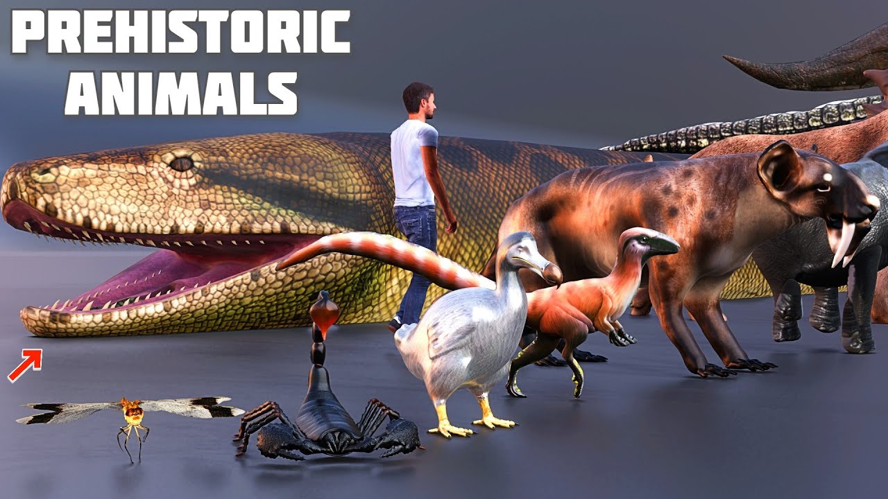 prehistoric animals size comparison | cenozoic beasts size comparison ...
