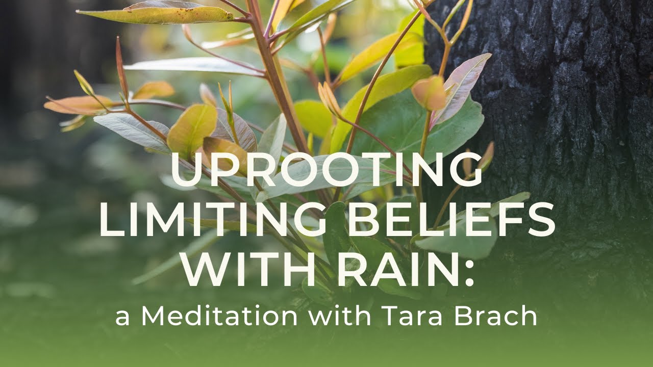 RAIN Meditation: Transform Limiting Beliefs with Tara Brach - YouTube