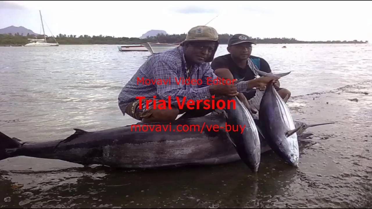 Marlin fishing in Mauritius - YouTube