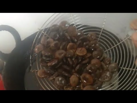 kuchla mudabbar krna .asaan tareka. - YouTube