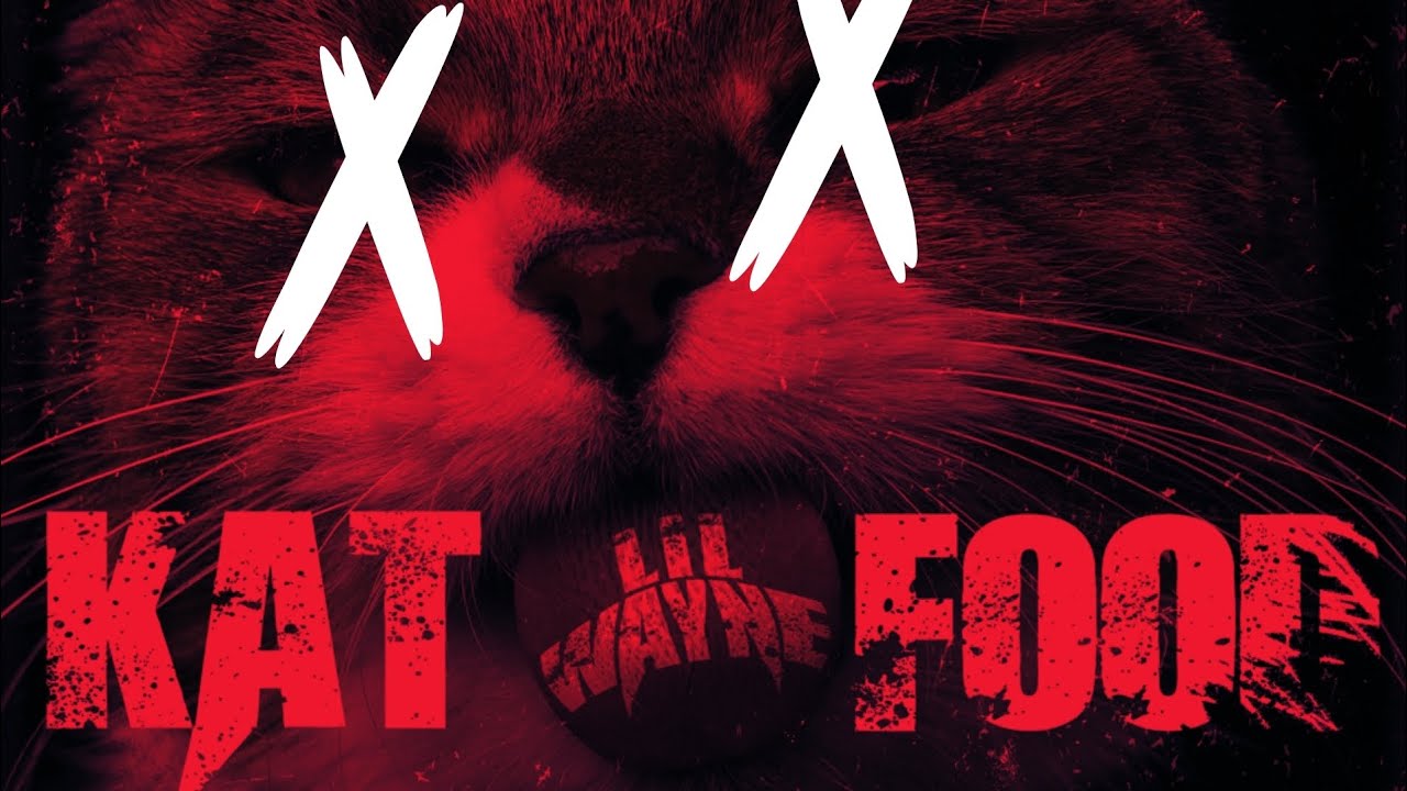 Lil Wayne - Kat Food (TRAPMETAL REMIX) (Prod. O2N) - YouTube