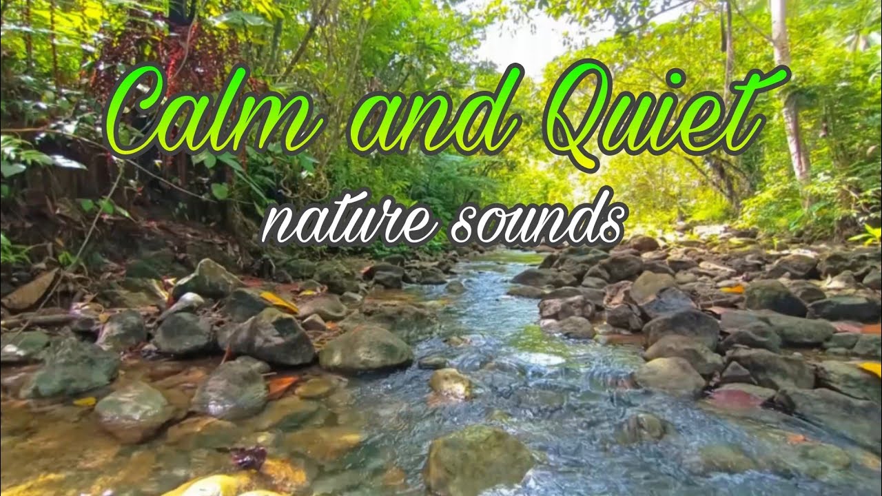 Calm and Quiet Nature's Harmony Relaxing Sounds For Meditation, stress ...