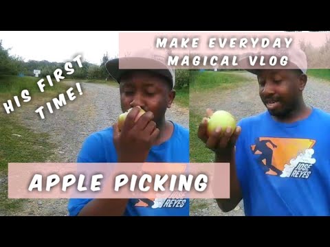 Apple Picking at Masker Orchard in Warwick, New York! | Mitchell's ...