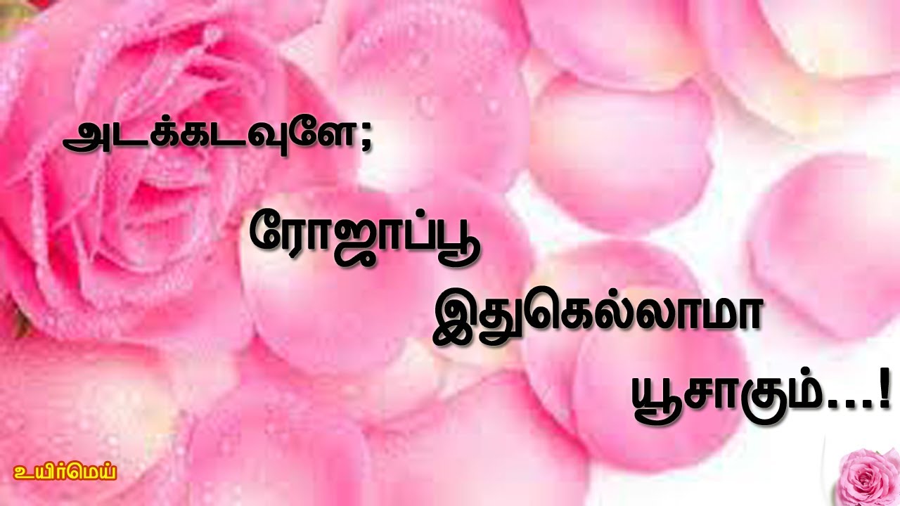 ROJA ITHAL - YouTube