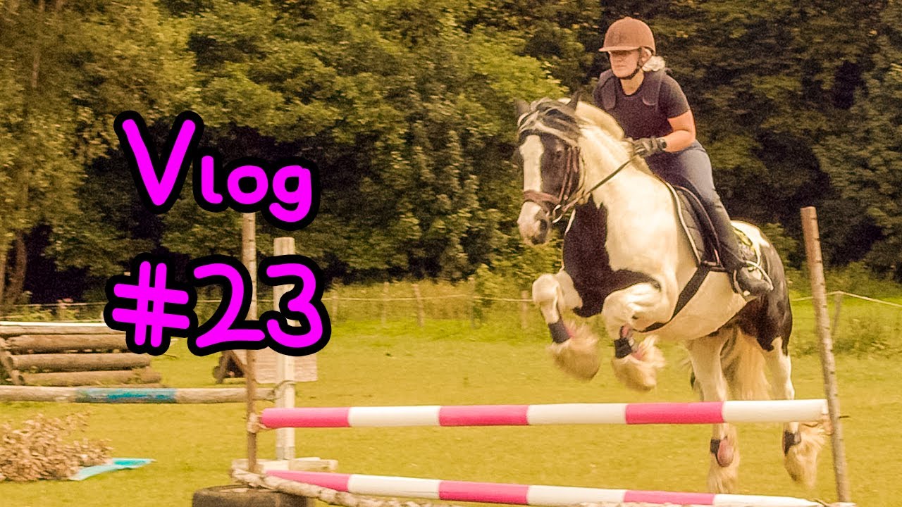 Vlog #23 🦄 Geländespringen mit Joey und Tinker Jack - YouTube