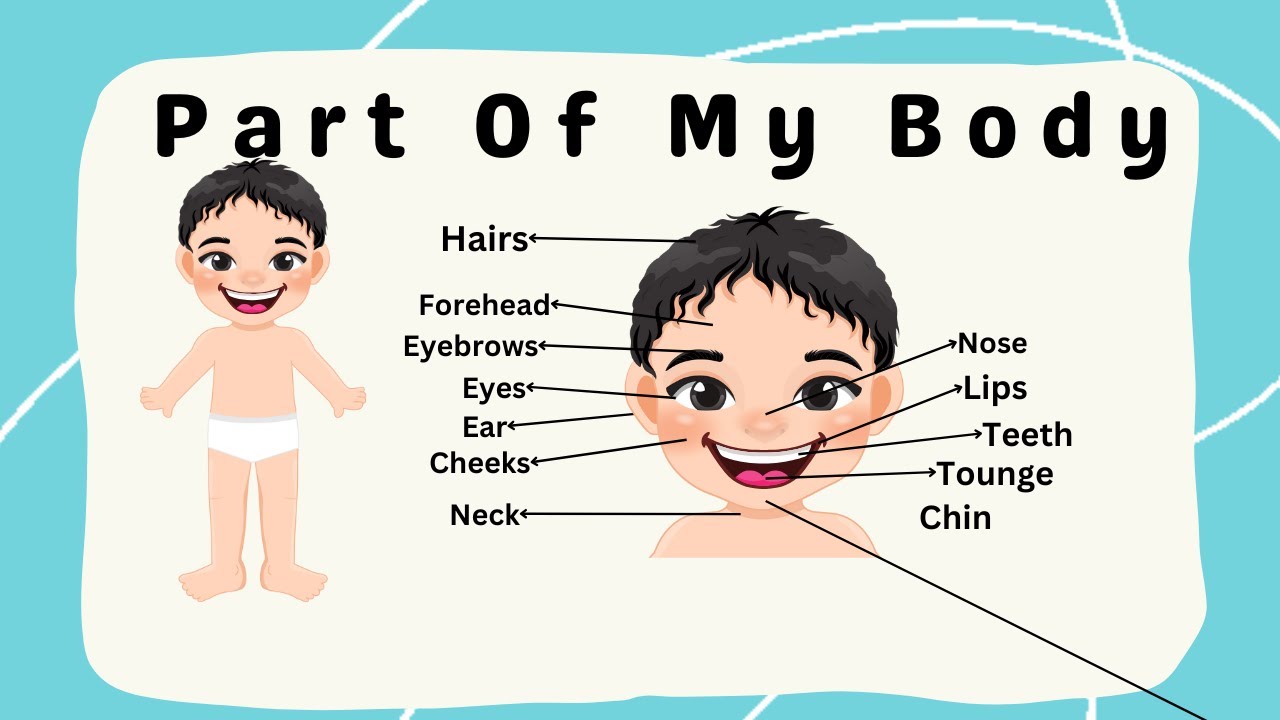 Fun & Interactive Body Parts Quiz for Kids | Learn Body Parts with ...