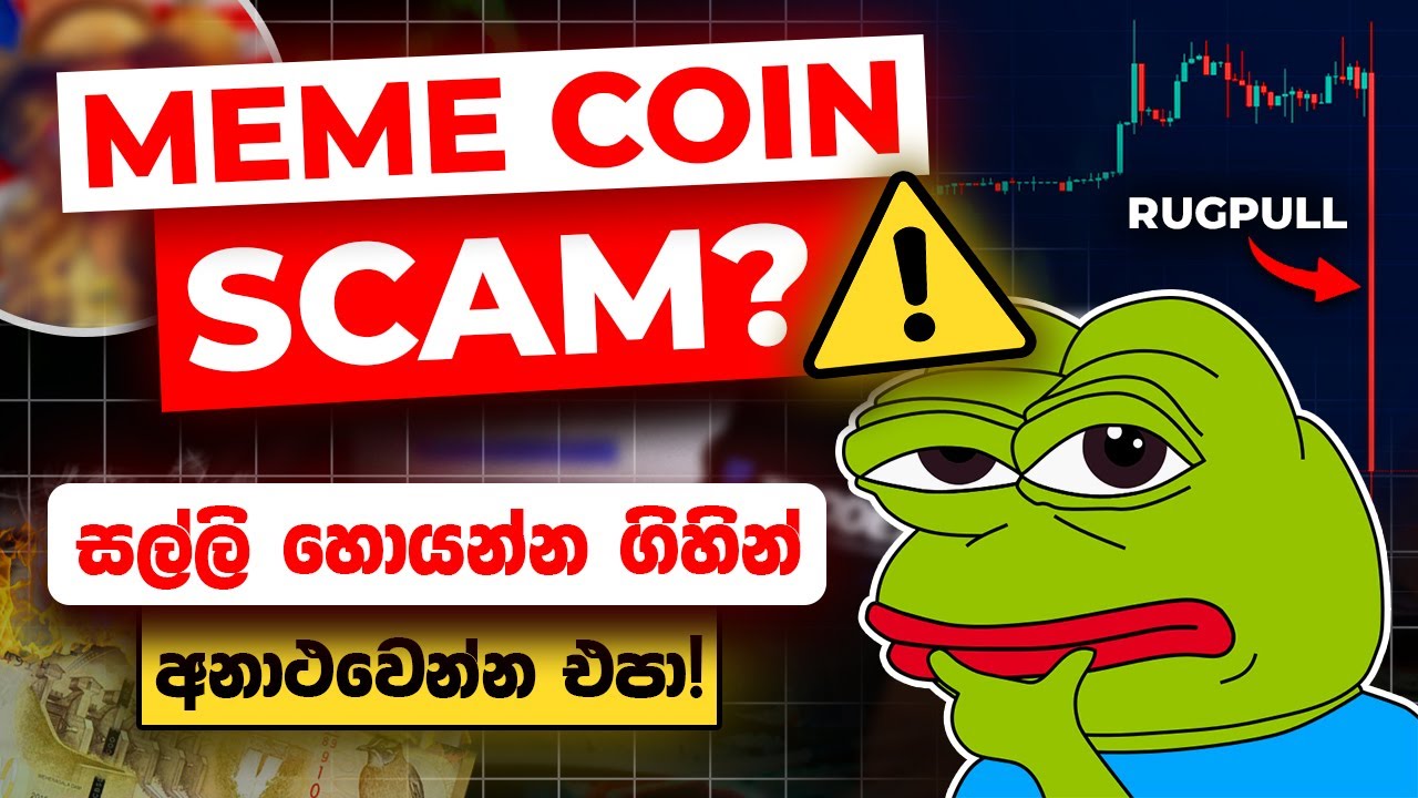 ලංකාවෙත් කරන Meme Coin Pump & Dump Scams | Rug Pulls - YouTube