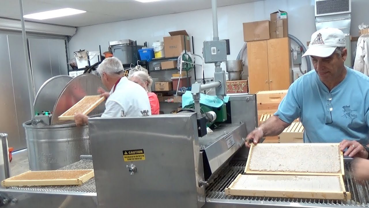Processing over 200 gallons of honey in our honey house - YouTube