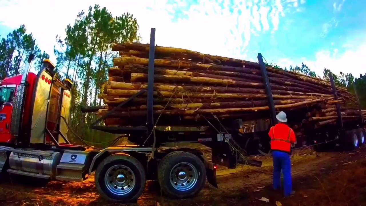 Epic Logging Sunrise Time Lapse - YouTube